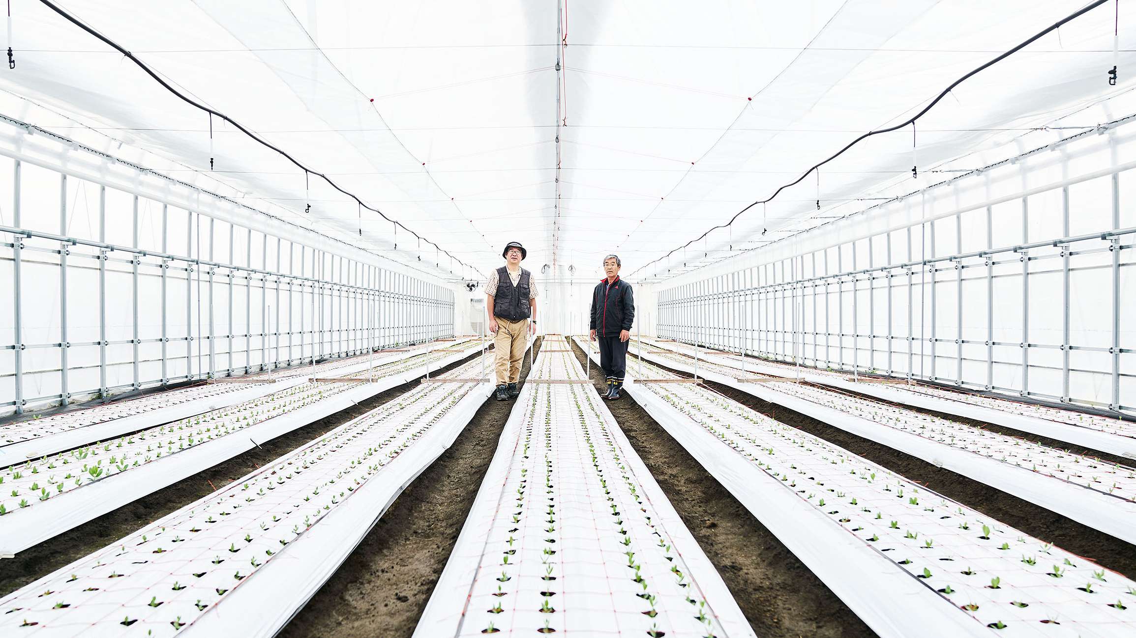 Land reclamation - METER Group