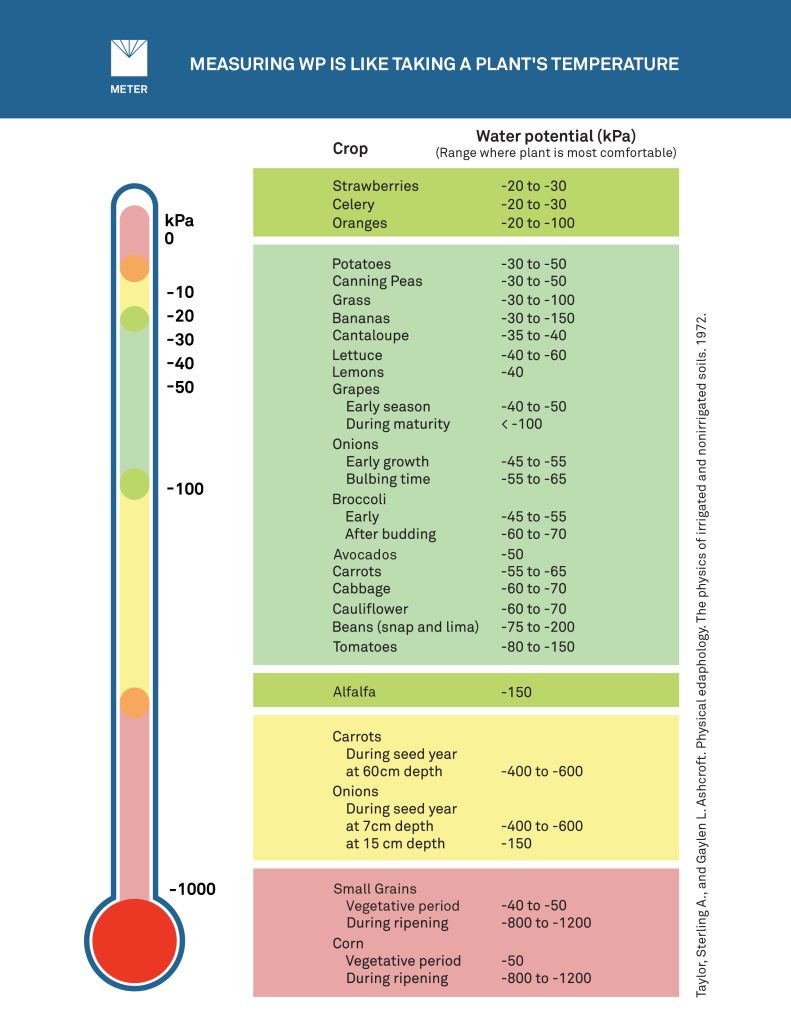 Water potential the complete researcher guide - METER Group