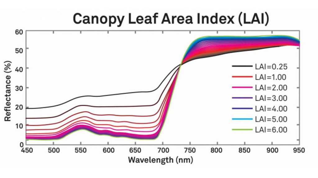 NDVI (índice de vegetación de diferencia normalizada) y PRI (índice de reflectancia fotoquímica ...