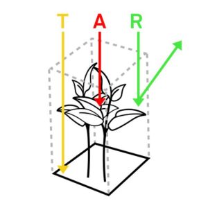 NDVI (normalized difference vegetation index) and PRI (photochemical ...