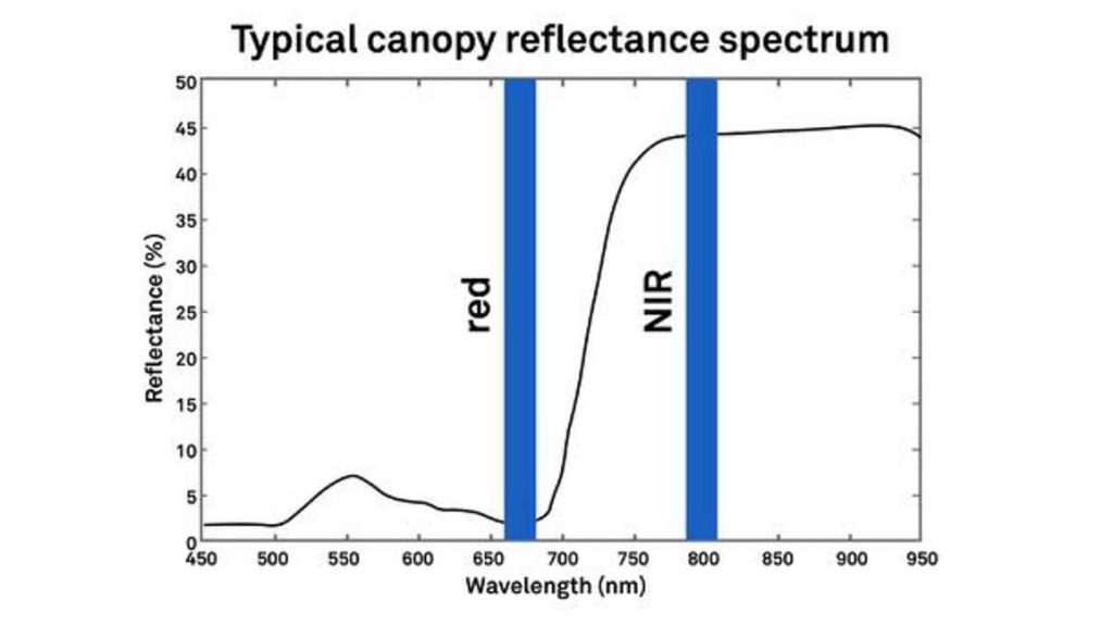 NDVI (índice de vegetación de diferencia normalizada) y PRI (índice de ...