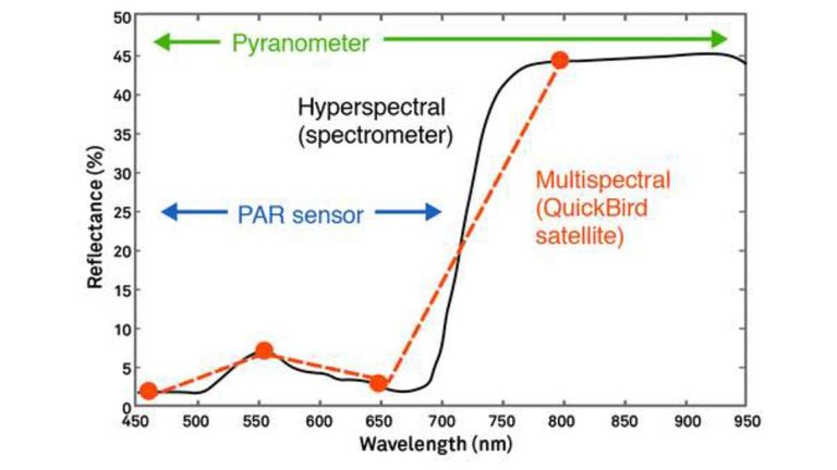 NDVI (normalized difference vegetation index) and PRI (photochemical ...