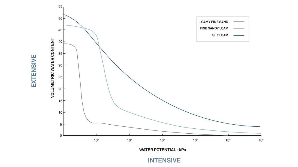 Water potential the complete researcher guide - METER Group