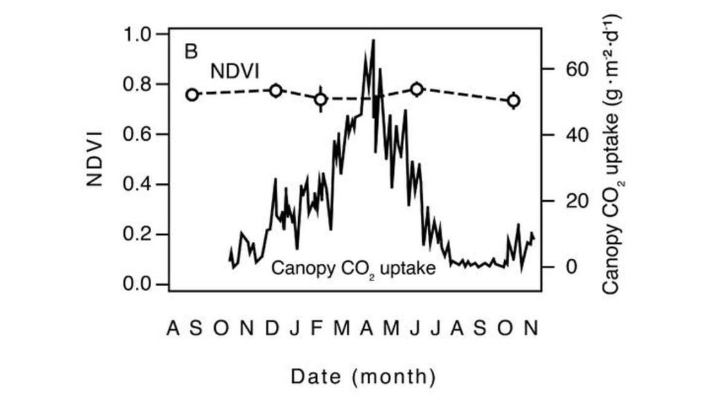 NDVI (normalized difference vegetation index) and PRI (photochemical ...