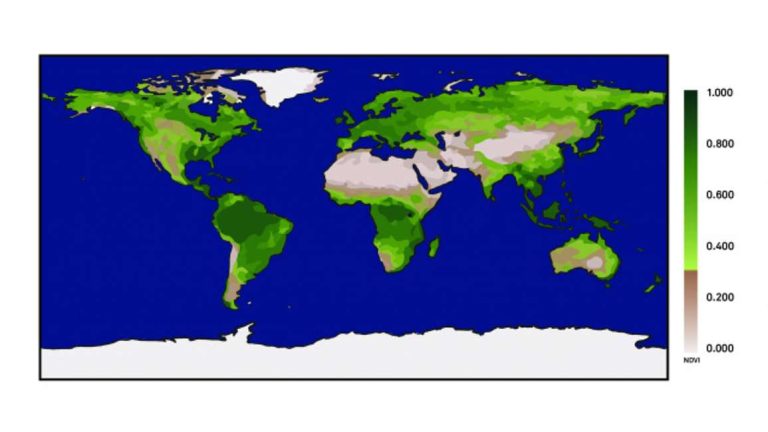 NDVI (índice de vegetação por diferença normalizada) e PRI (índice de ...