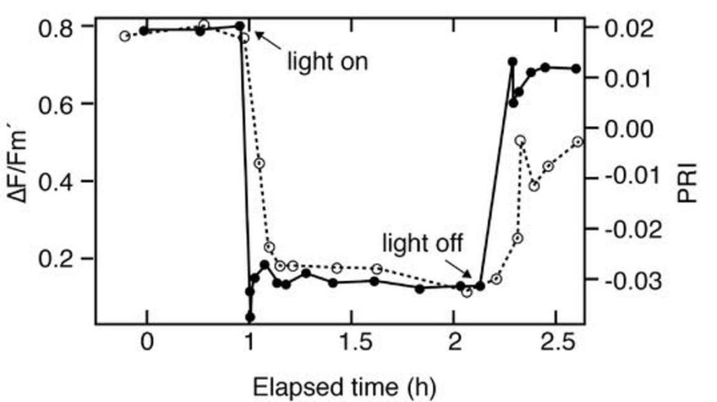NDVI (normalized difference vegetation index) and PRI (photochemical ...