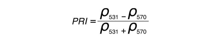 NDVI (indice di vegetazione normalizzato) e PRI (indice di riflettanza ...