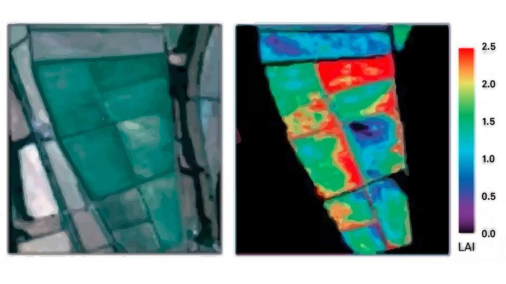 NDVI (indice de végétation par différence normalisée) et PRI (indice de ...