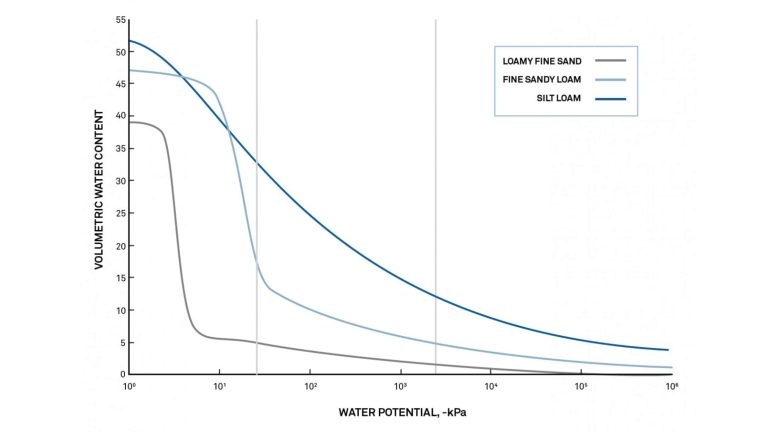 Defining water potential—What it is. How to use it. - METER Group