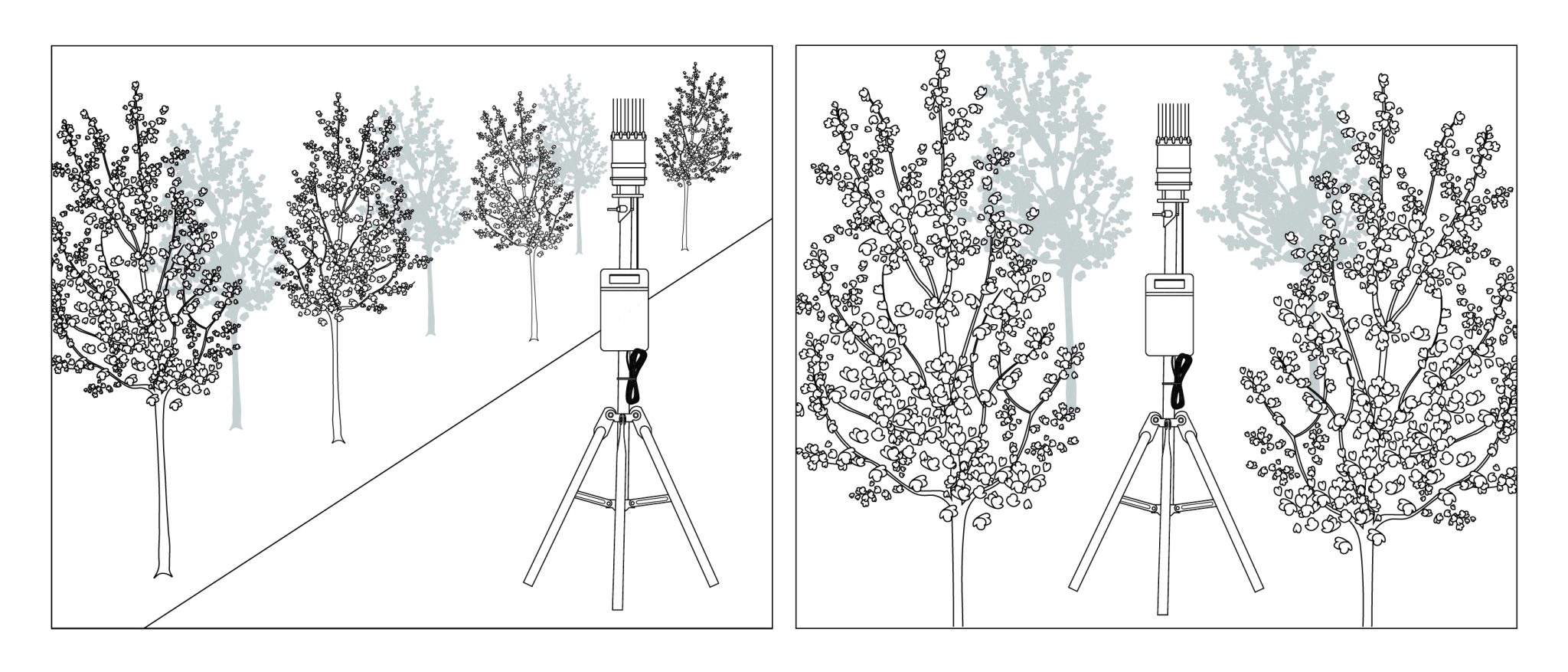 Growing degree days—Using virtual weather vs weather stations - METER Group