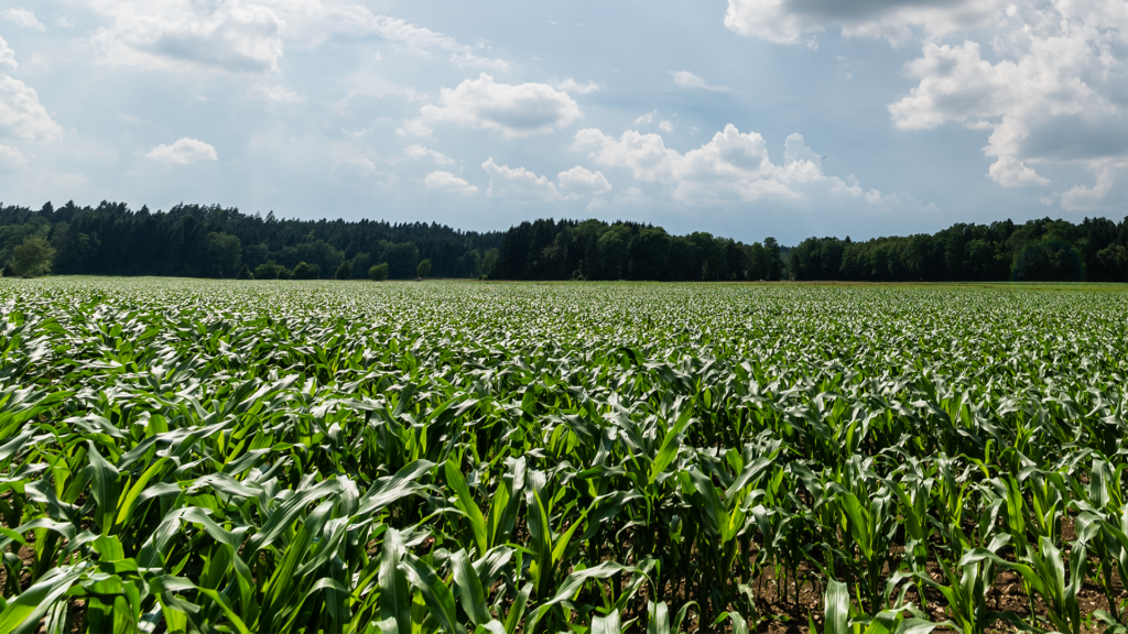 Agriculture - METER Group